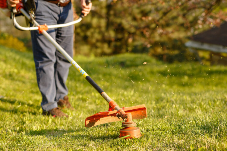 Best Garden Pruners and Trimming Tools for the Homestead - Grit
